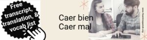 Caer bien - The Verb Caer in Spanish – caer bien/mal mean?-I-007