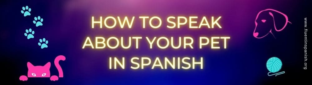 How to Speak about Your Pet in Spanish – fluent in spanish