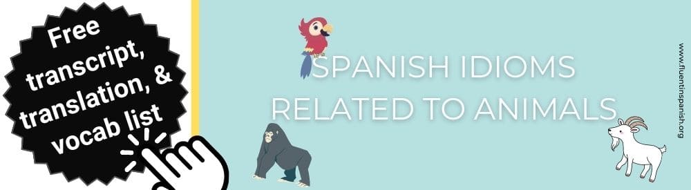 Spanish Idioms Related to Animals | Real Spanish Conversations – fluent ...